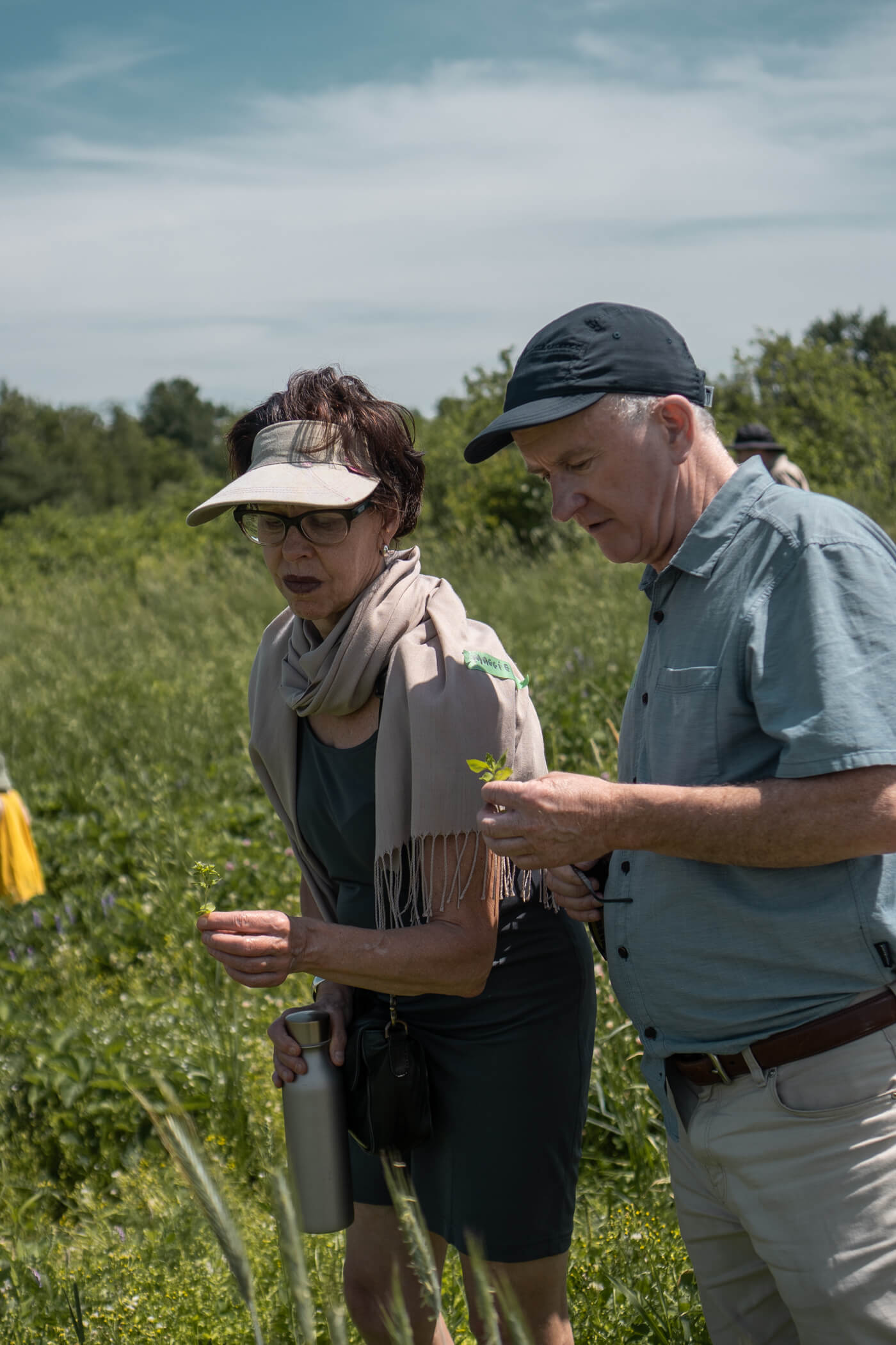 Stories of Regeneration - Photos - Régénération Canada