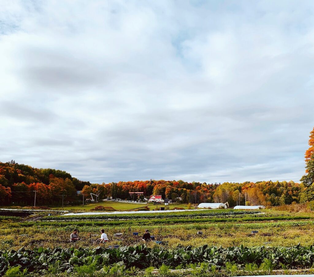 Ferme Juniper Farm - Régénération Canada