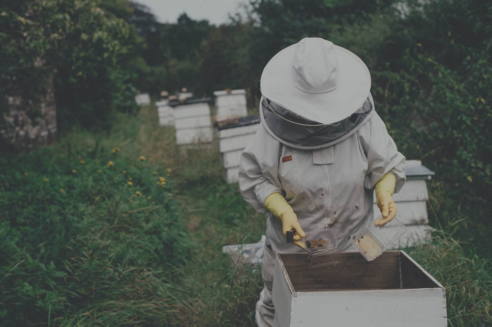 Privacy Policy - Régénération Canada