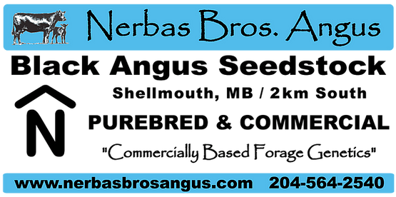 Nerbas Bros. Angus - Régénération Canada