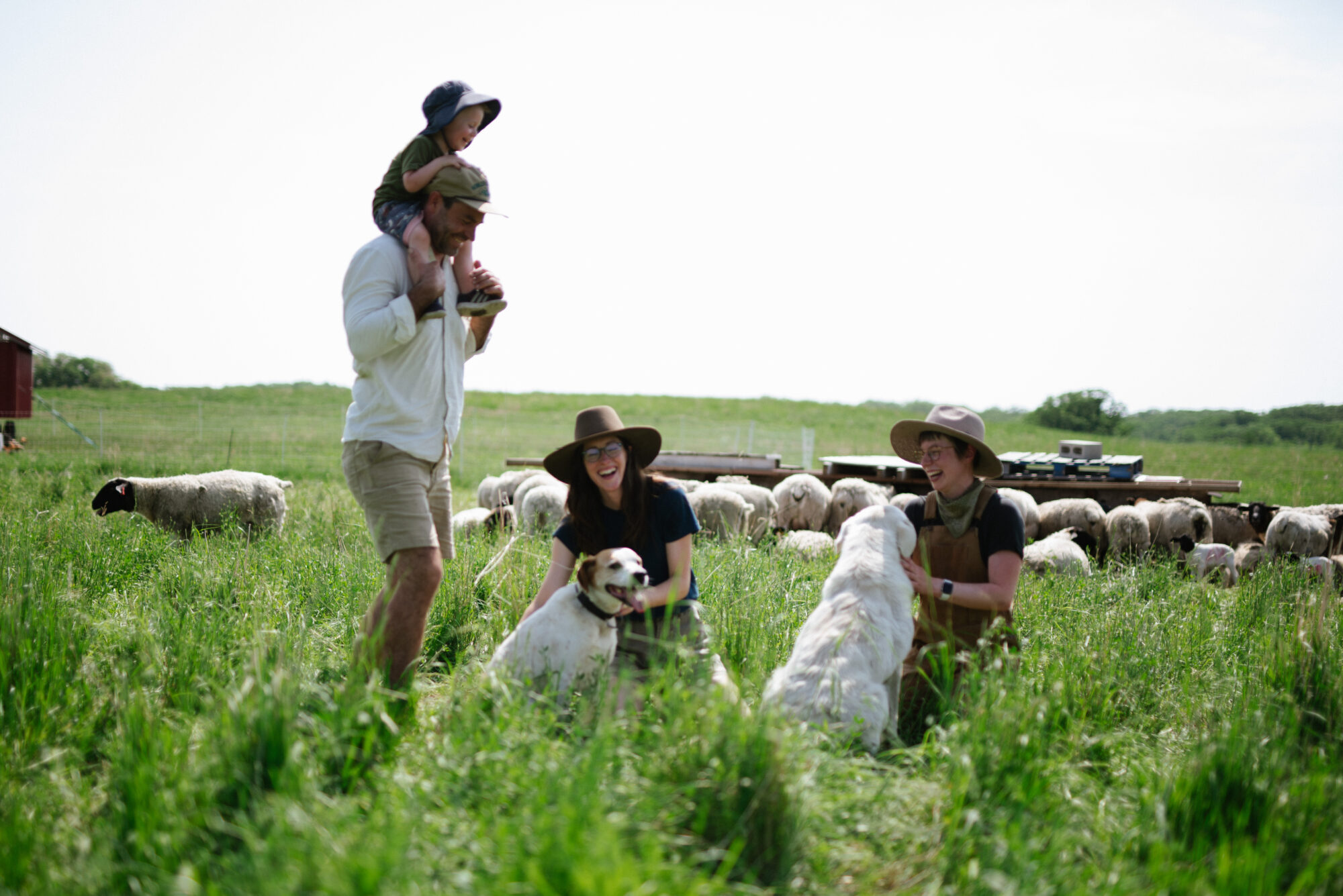 The Dogs Run Farm - Régénération Canada