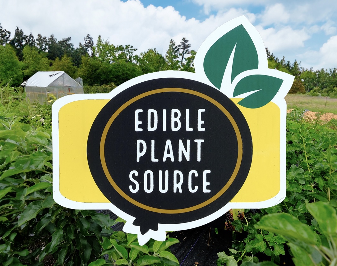 Edible Plant Source - Régénération Canada