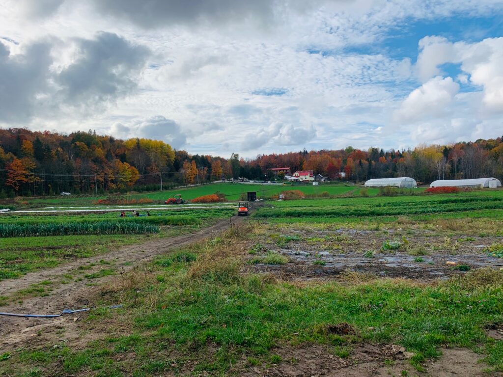 Ferme Juniper Farm - Régénération Canada