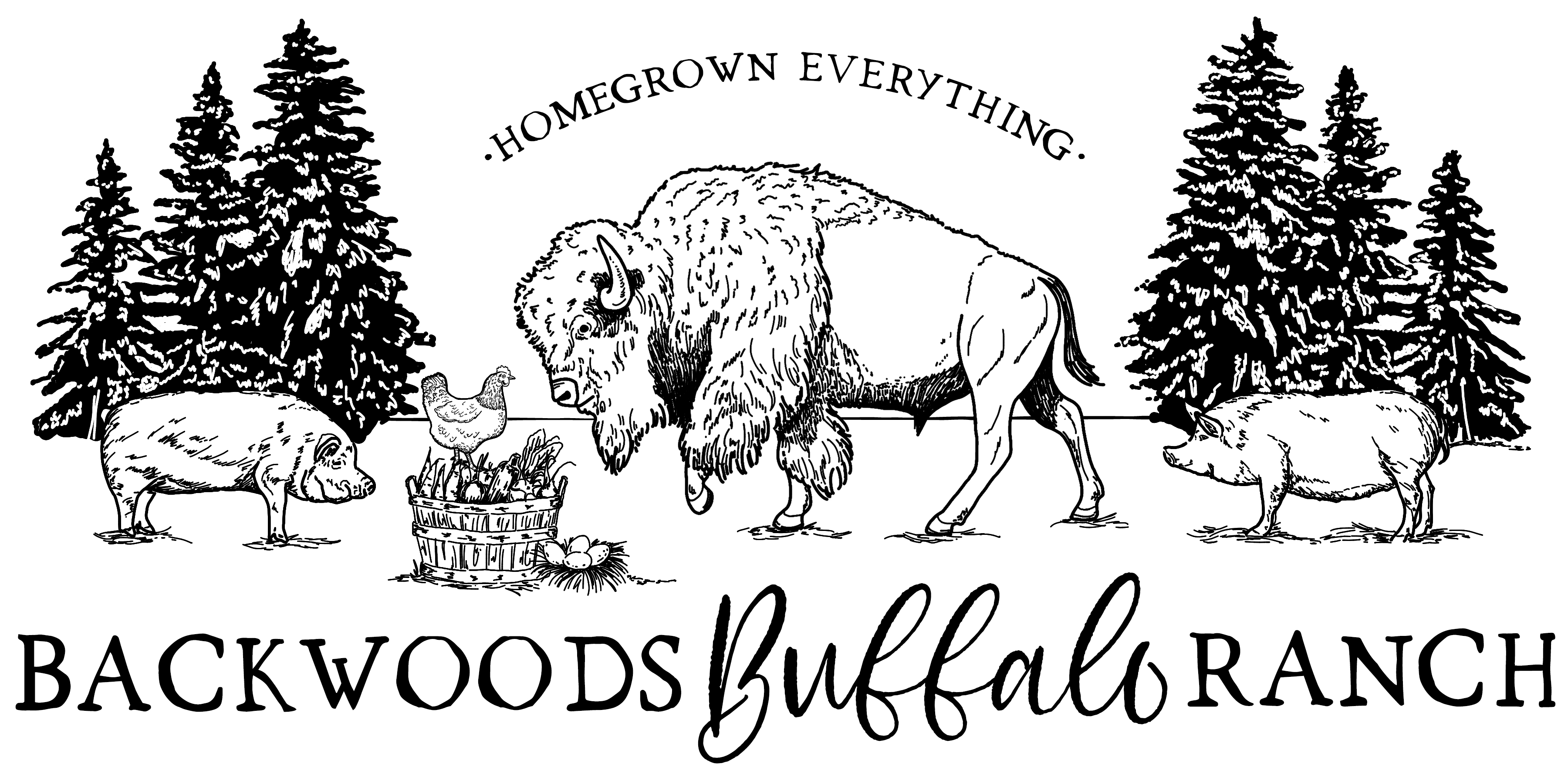 Backwoods Buffalo Ranch - Régénération Canada