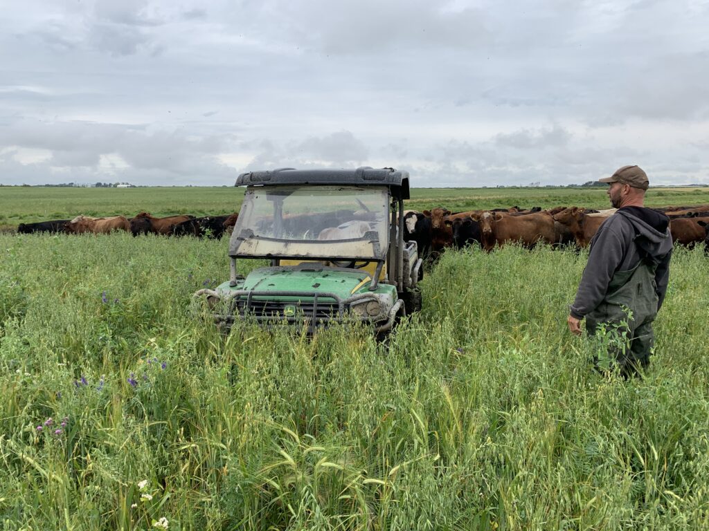 Cardale Grain Corp. - Régénération Canada