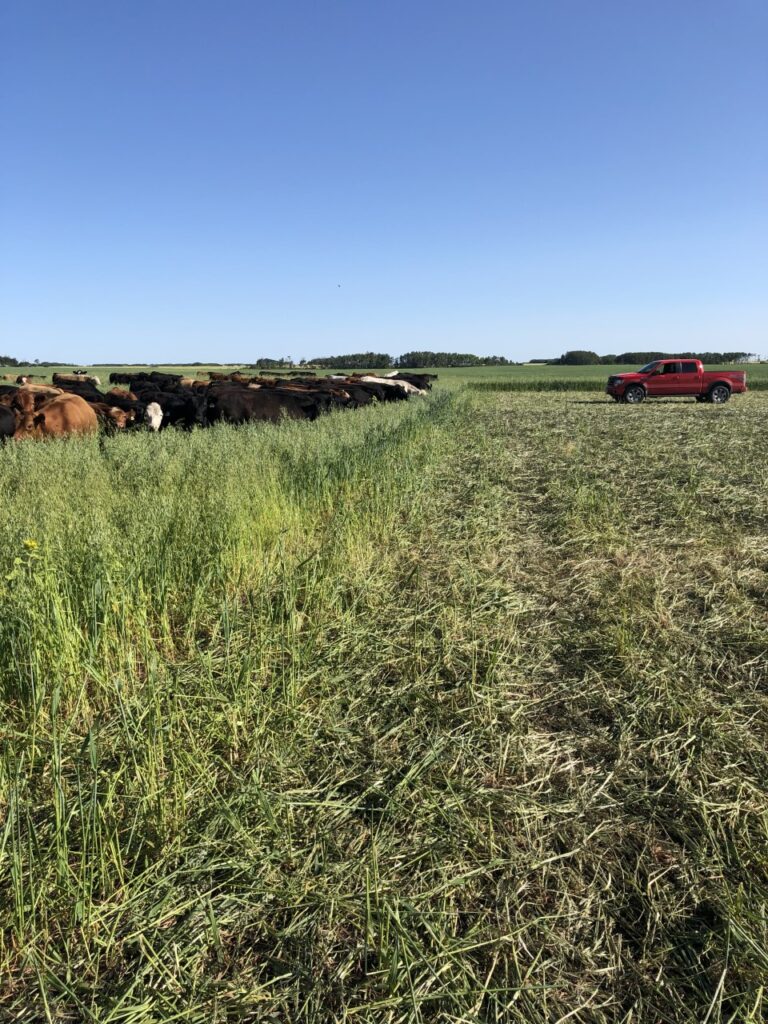 Cardale Grain Corp. - Régénération Canada