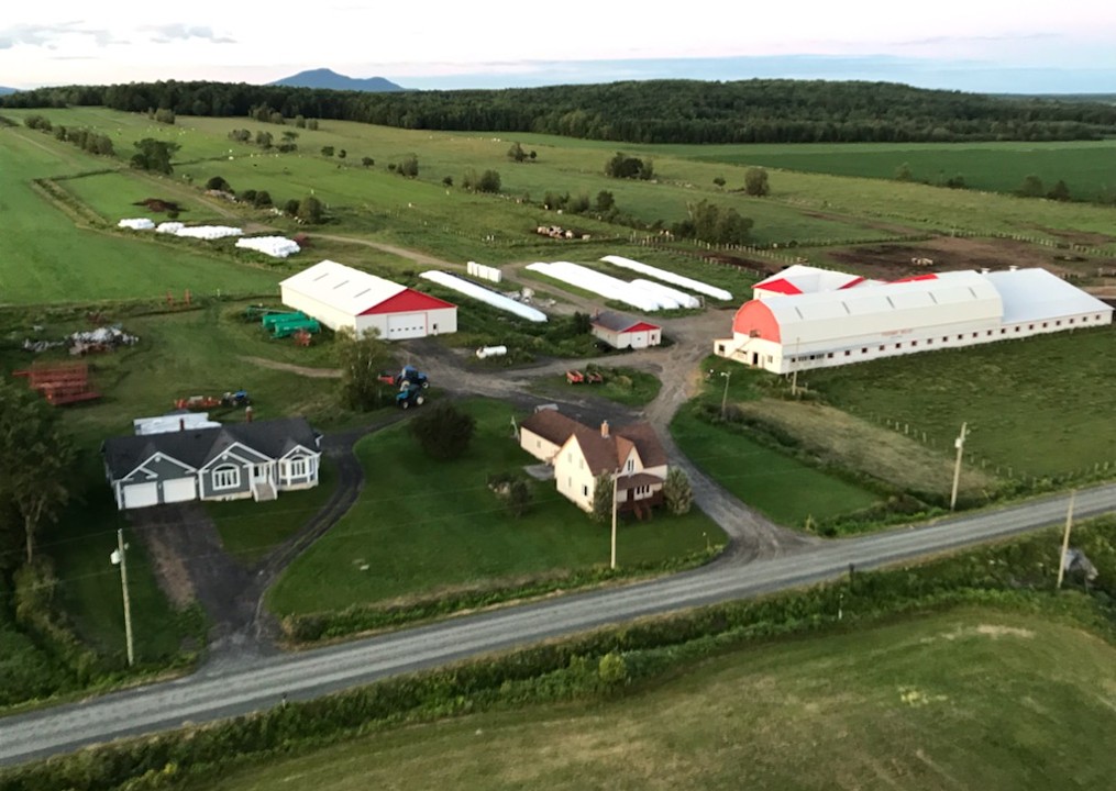 Ferme Rejo Holstein - Régénération Canada