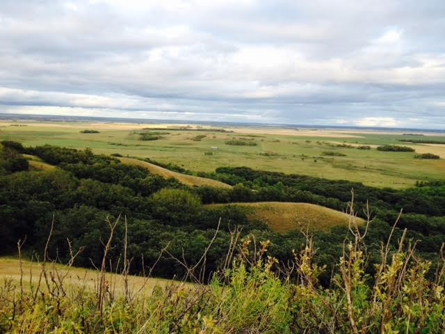 Howpark Farms - Régénération Canada