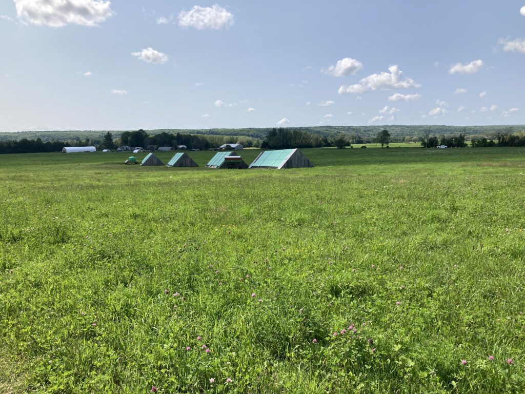 Integrated Farms - Régénération Canada