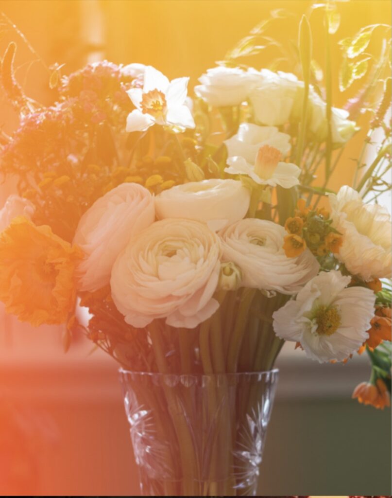 La VAM Box - Régénération Canada