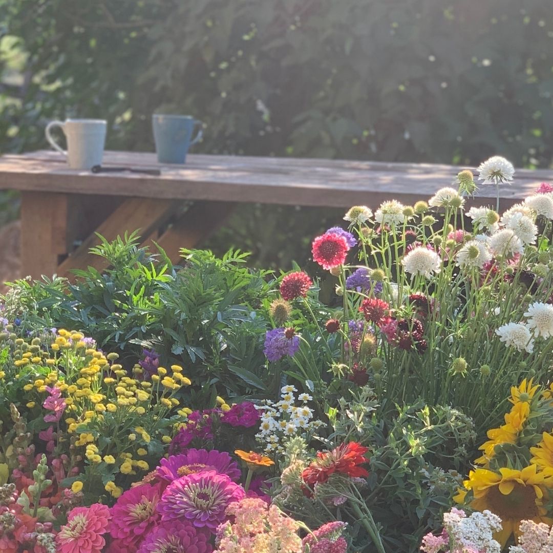 Maple Ridge Farm - Régénération Canada Farm Map