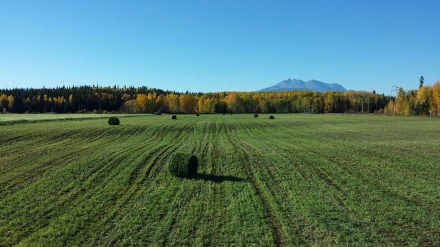 W Diamond Ranch - Régénération Canada